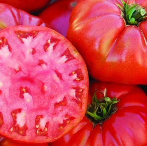 Jersey Tomatoes Taste Like Summer – Health Craft